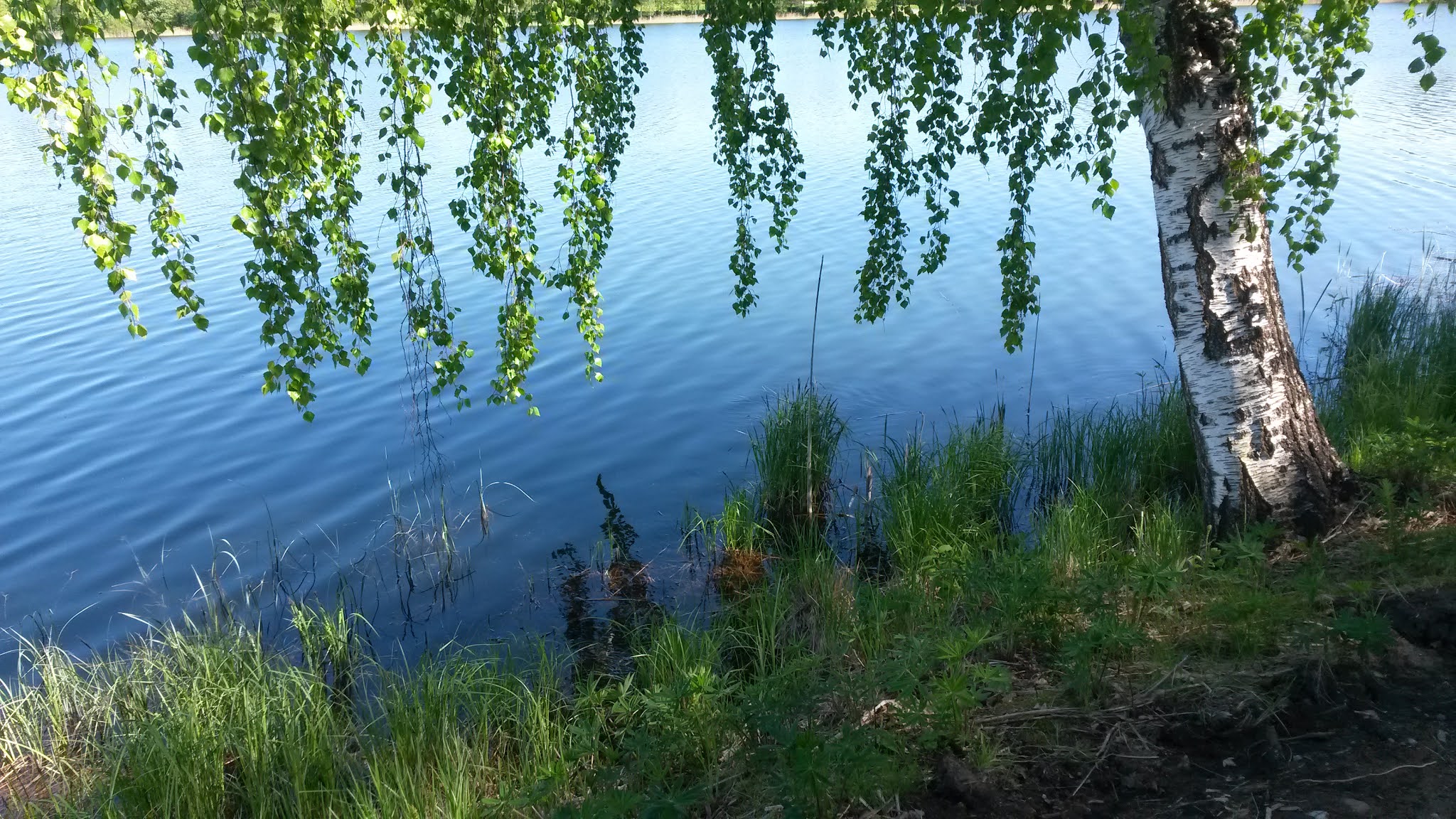 OMAT VALOKUVAT: TOUKOKUU 2021