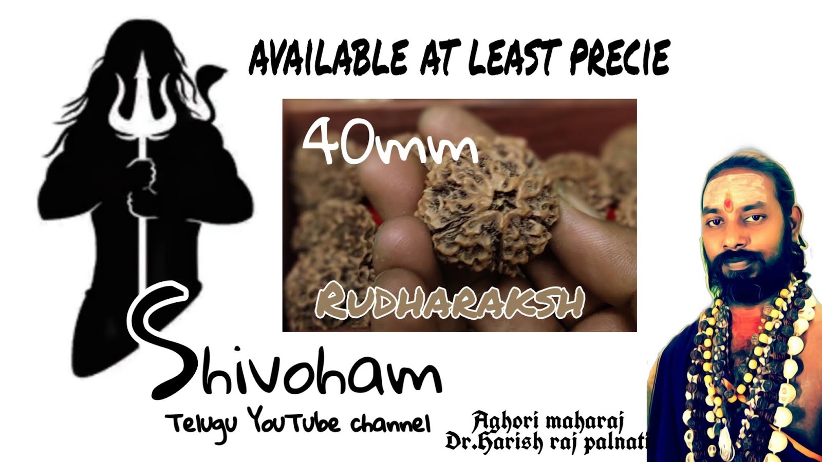 Shivoham Guruji Dr.Harish Raj Palnati Shivoham at 5000 pooja items by ...