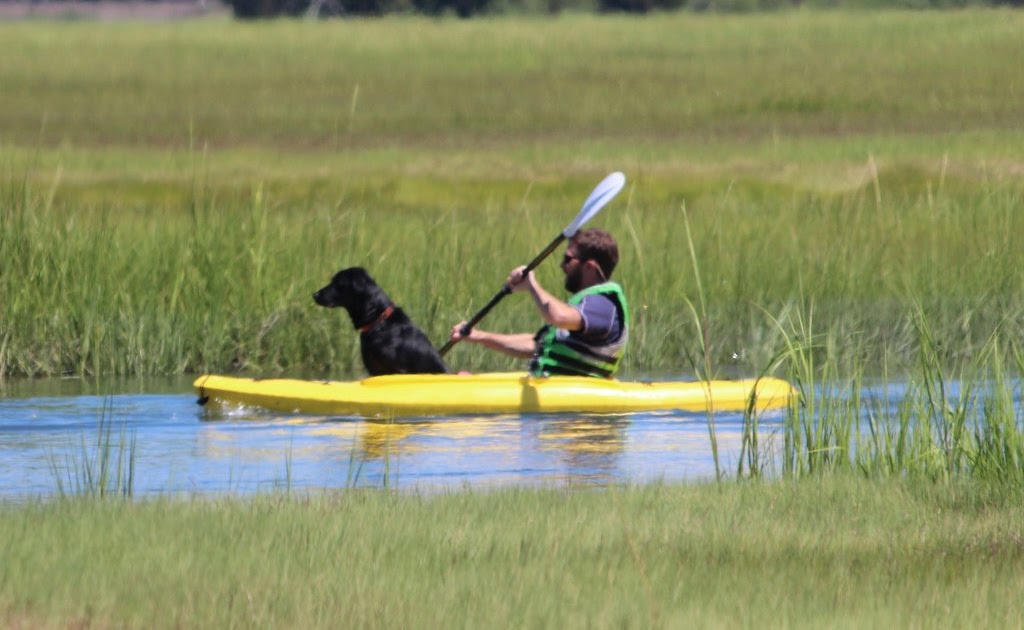 Salt Water New England: Kayaking