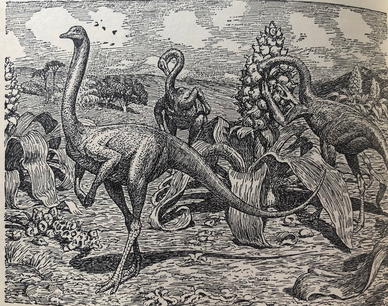 Manospondylus: Unorthodox Ideas about Bird Origins