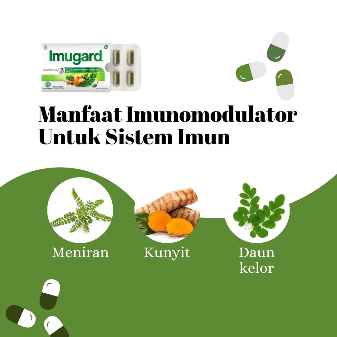 Manfaat Imunomodulator Untuk Sistem Imun