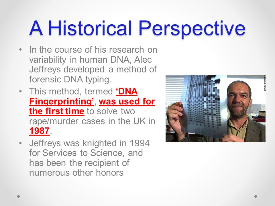 EXAMS AND ME : The Pitchfork Case