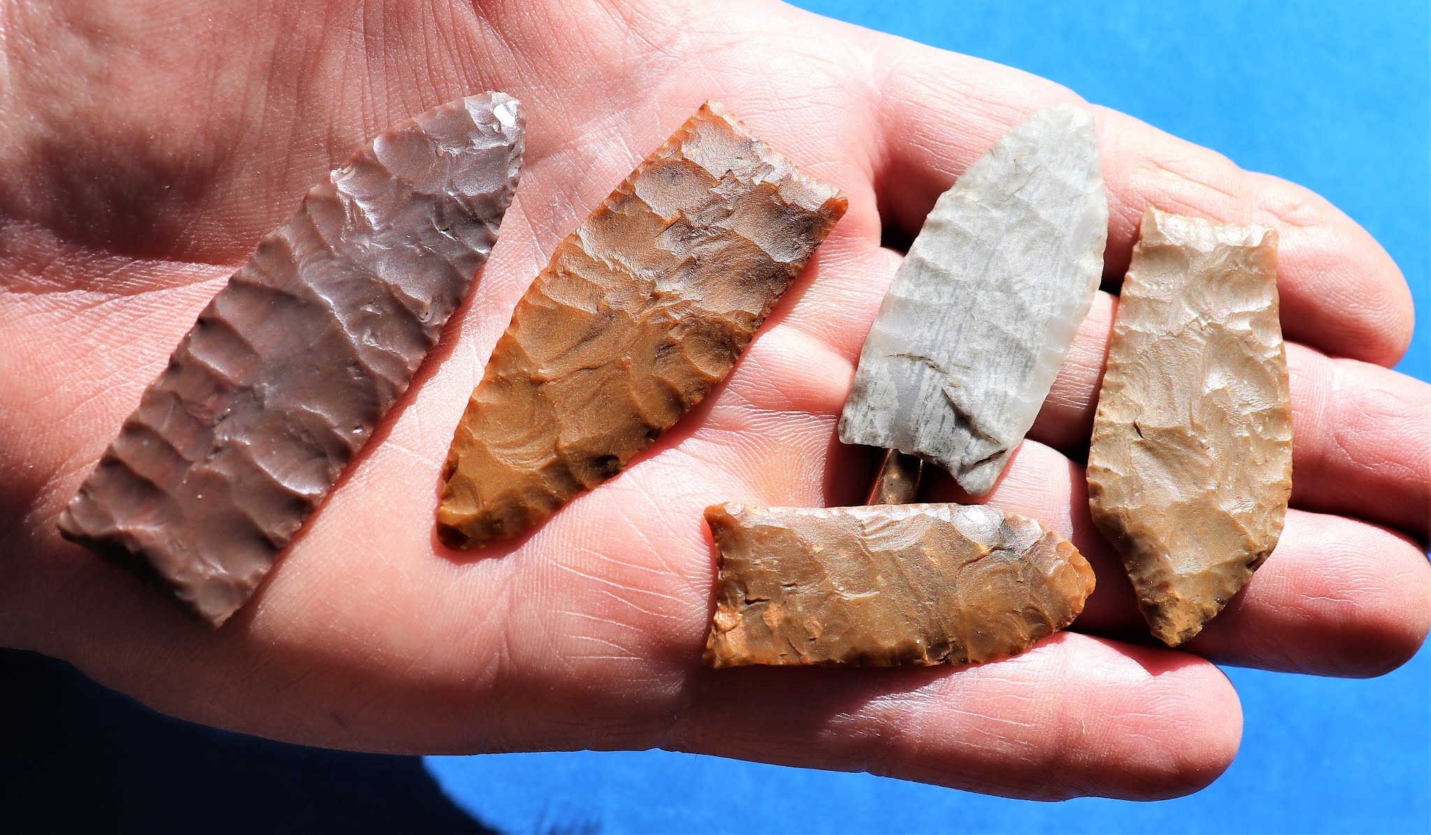 SHADOWS on the TRAIL Pentalogy - Let the Adventures Begin!: Are You a ...