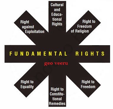 5. DEMOCRATIC RIGHTS