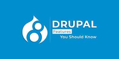 Drupal Development Company | Drupal Web Development Services: What are the Major Features ...