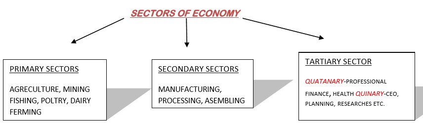 GEOGRAPHY-WORLD AND INDIA: What is occupational structure ...