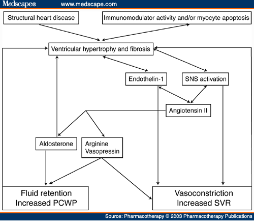 Welcome To Edi Ikhsan's Blog: ACUTE DECOMPENSATED HEART FAILURE (ADHF)