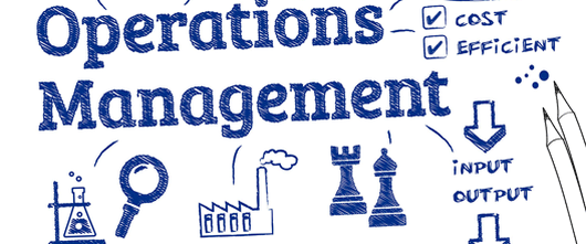 Operational Management | Strategy and cost management - Project ...