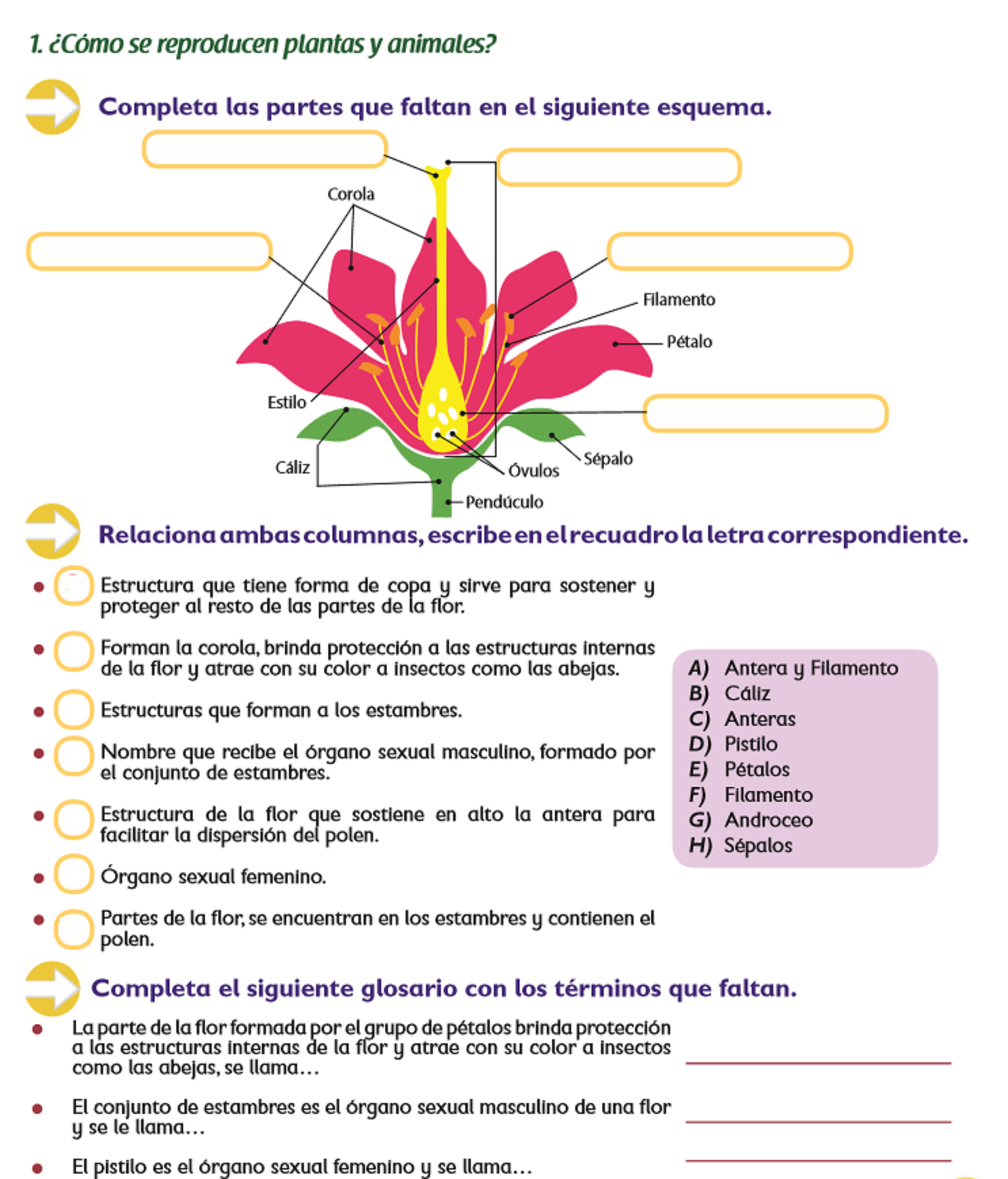 ejercicio de reproducción de la plantas ciencias de la naturaleza | My ...