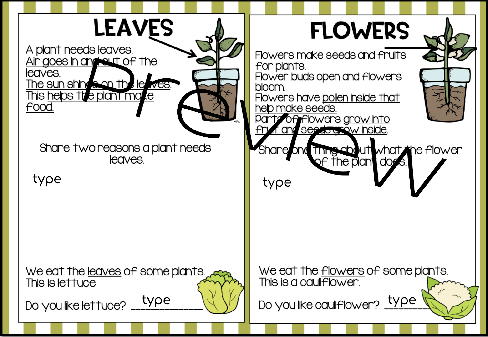 1st Grade Hip Hip Hooray!: NGSS... Life Science...Exploring Plants and ...