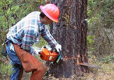 Ekonomiya ng Pilipinas: Pagsulong at Pag-unlad ng bansa: Makakamit sa ...