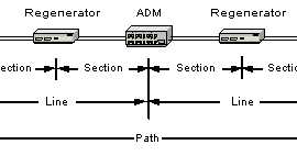 Synchronous Optical Network (SONET) - CCNA Academy