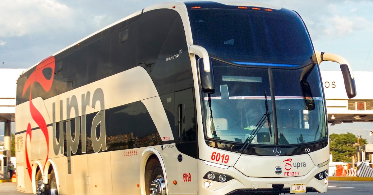 MAXIBUSES: SUPRA