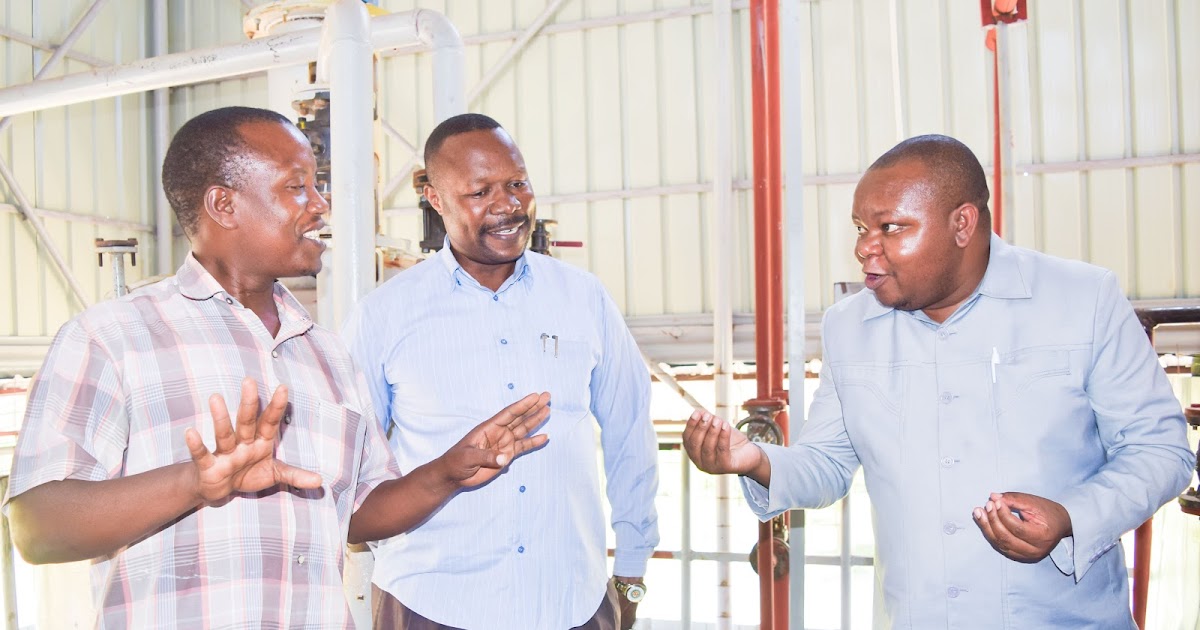 PROF. SHEMDOE ‘‘ WATANZANIA TUWEKEZE KWENYE VIWANDA VINAVYOTUMIA ...