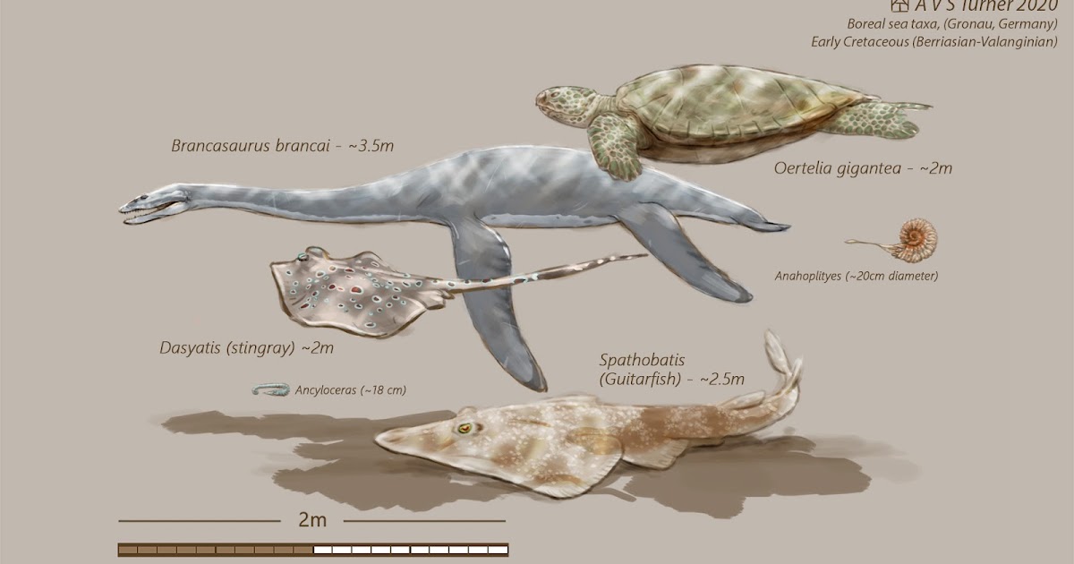Cretaceous Sea Dinosaurs