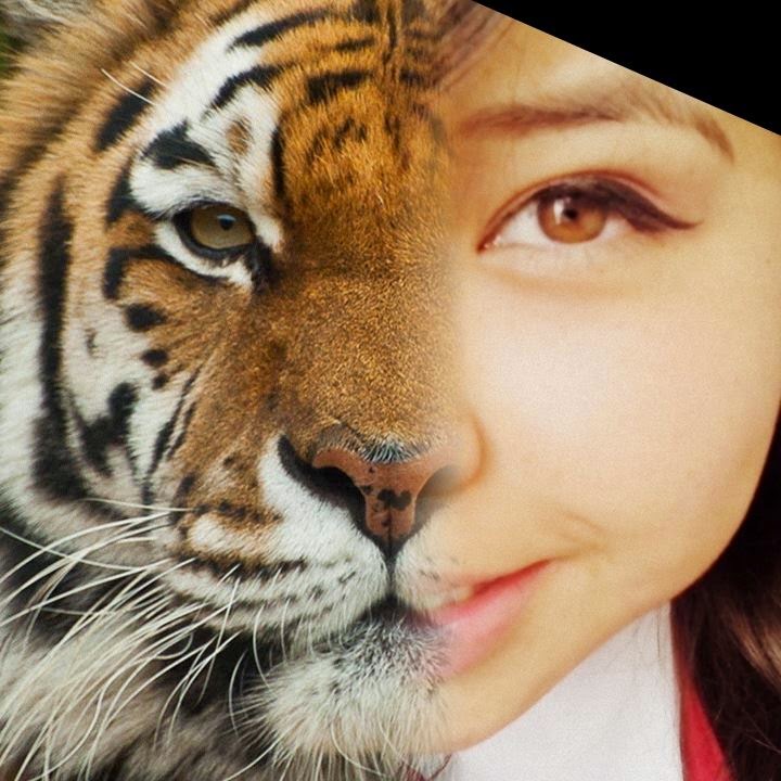 Comunicación y Sociedad l : ORDENAMIENTO Y MODELO STRIPLING PITTS