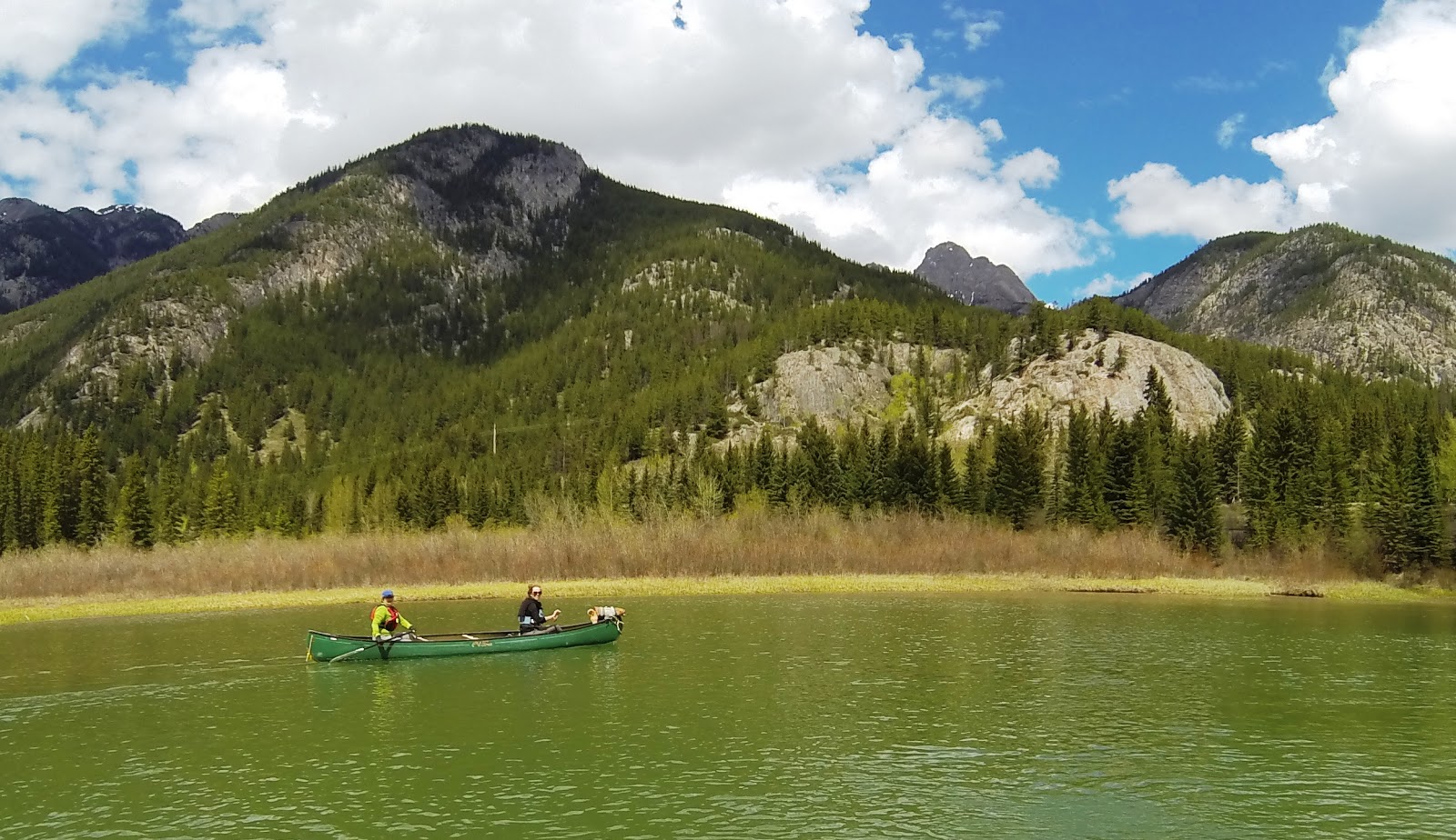 Revlo: From Amsterdam to Back Swamp in Banff National Park