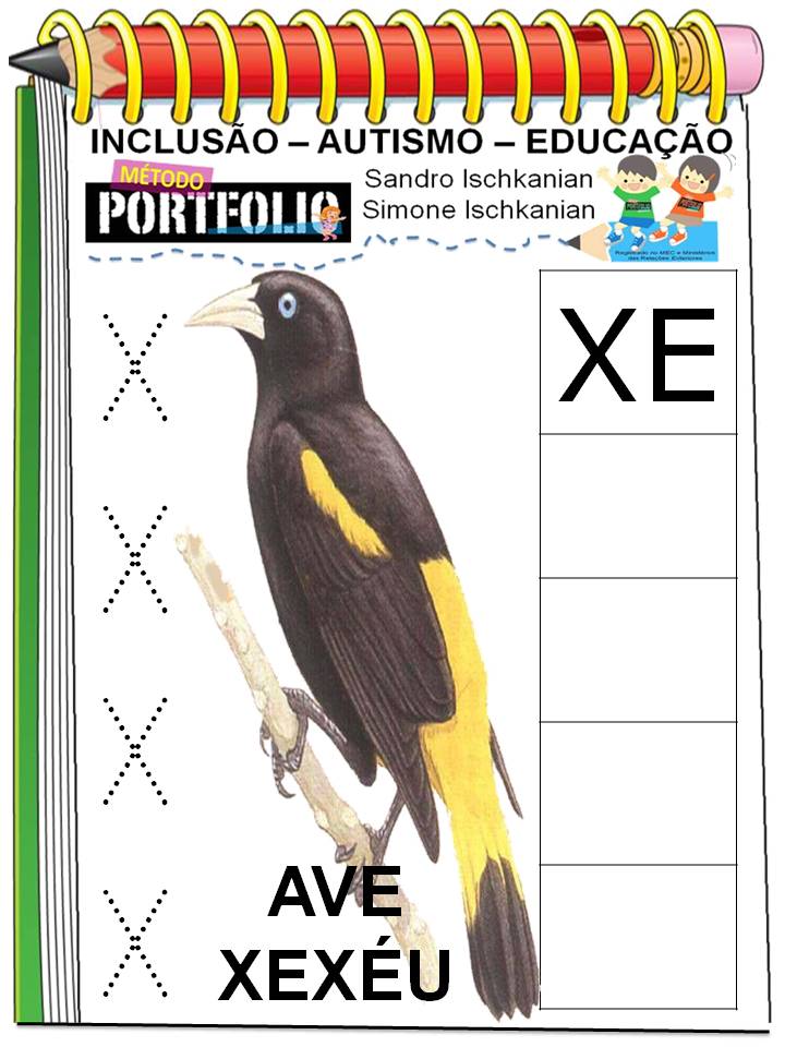 X... DE XEXÉU (AVE) - ATIVIDADES ANOS INICIAIS COM A BNCC