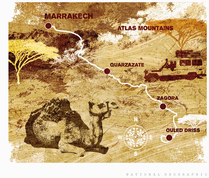 Lee Woodgate : News Blog