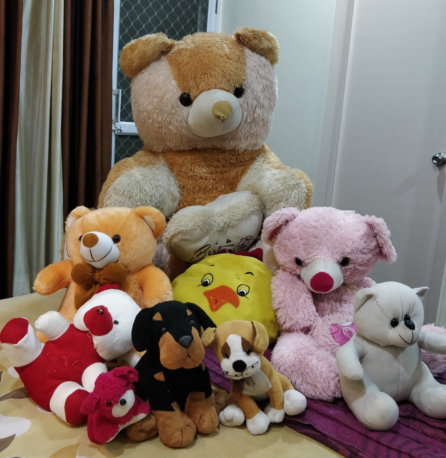 Teddies all around!