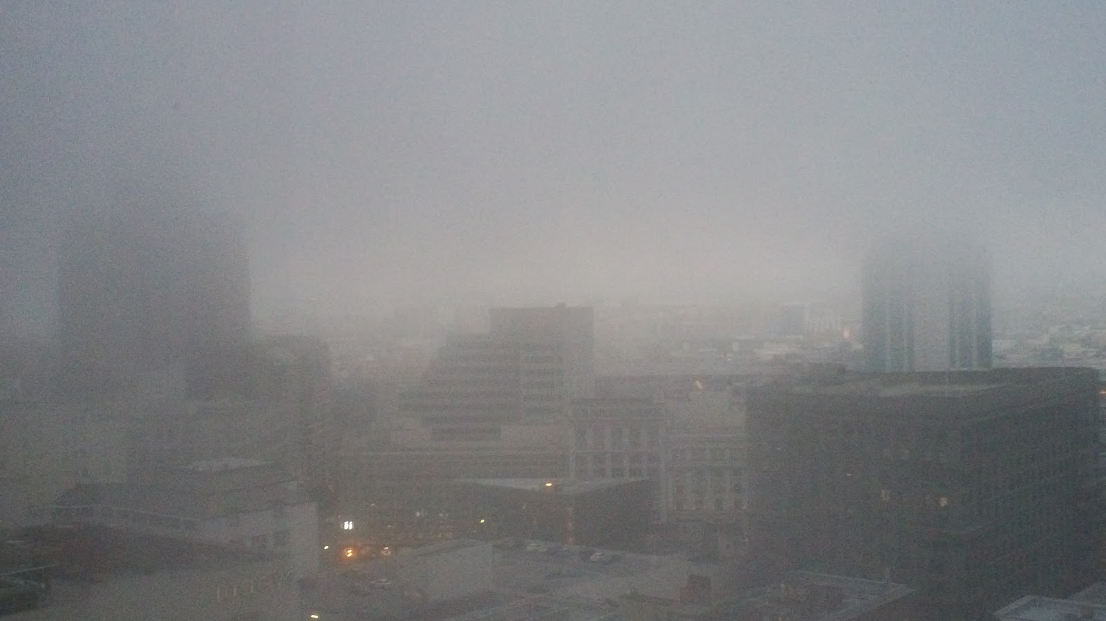 My Views of the World: Cool Foggy Weather