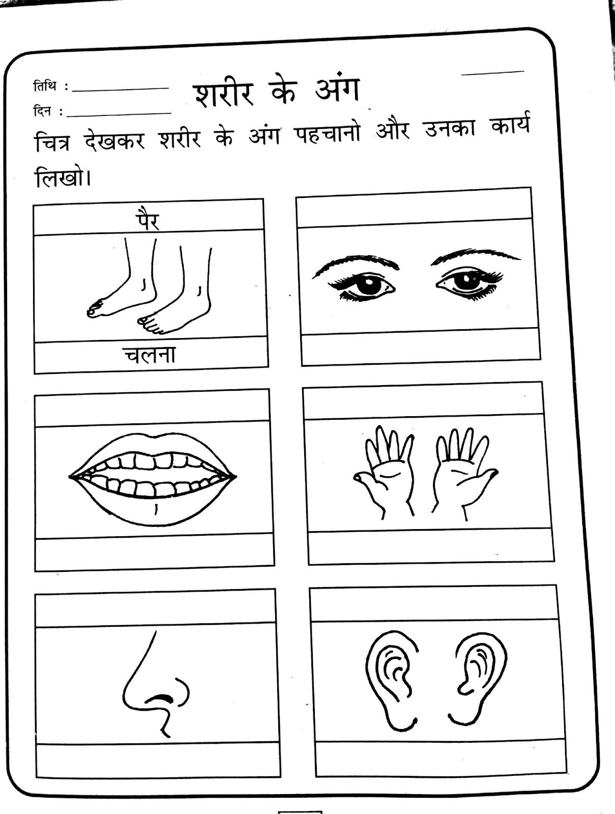Hindi Grammar Work Sheet Collection for Classes 5,6, 7 & 8: Collection ...