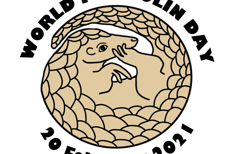 World Pangolin Day - 20 February. (03rd Saturday of February) ~ CURRENT ...