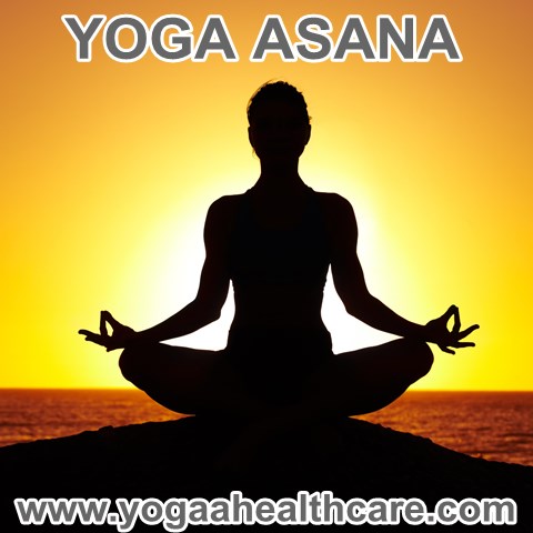 What is Asana in Yoga | Meditation | Mental Peaceful | Physical ...
