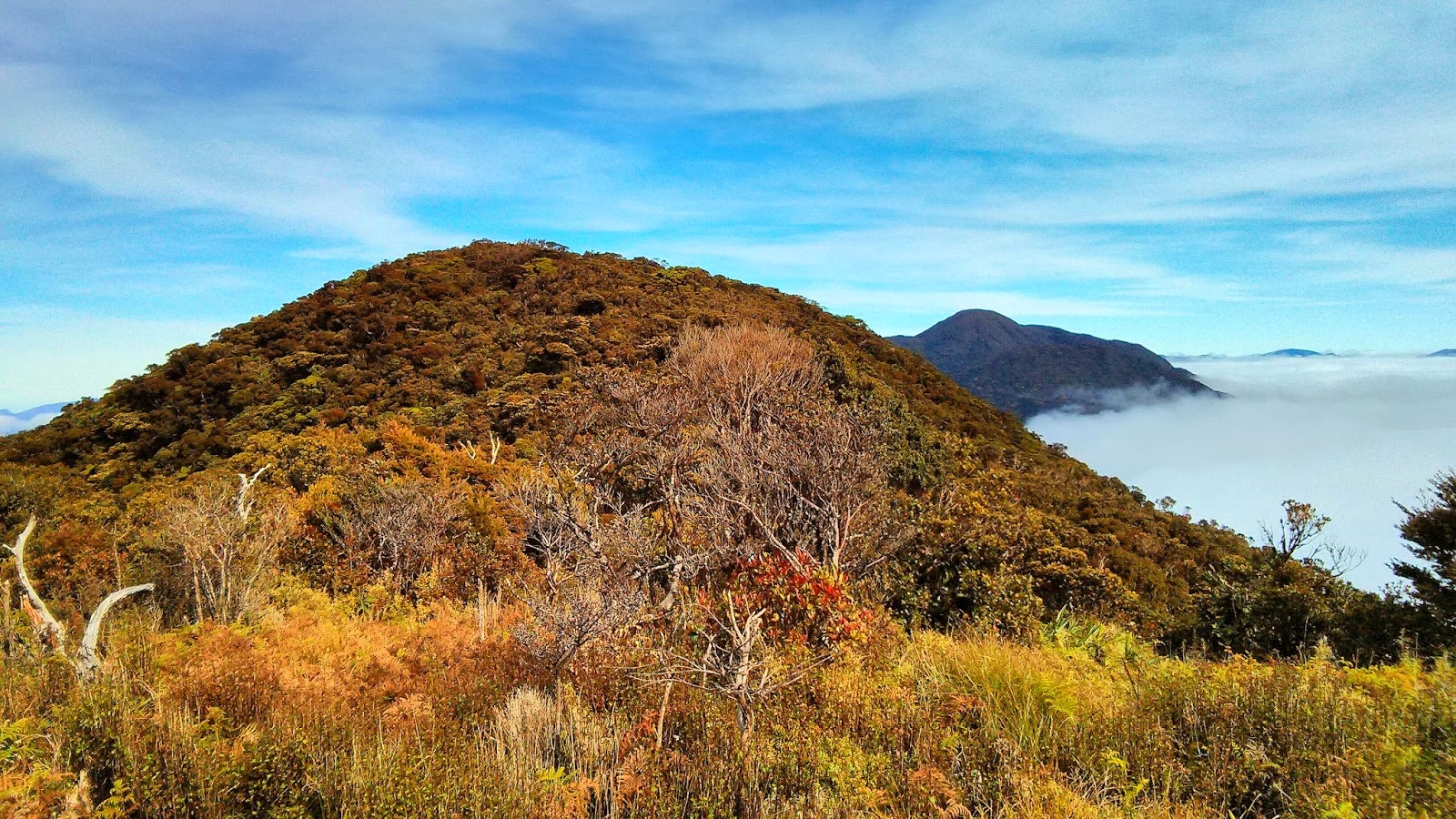 Making the Most Out of What You Have