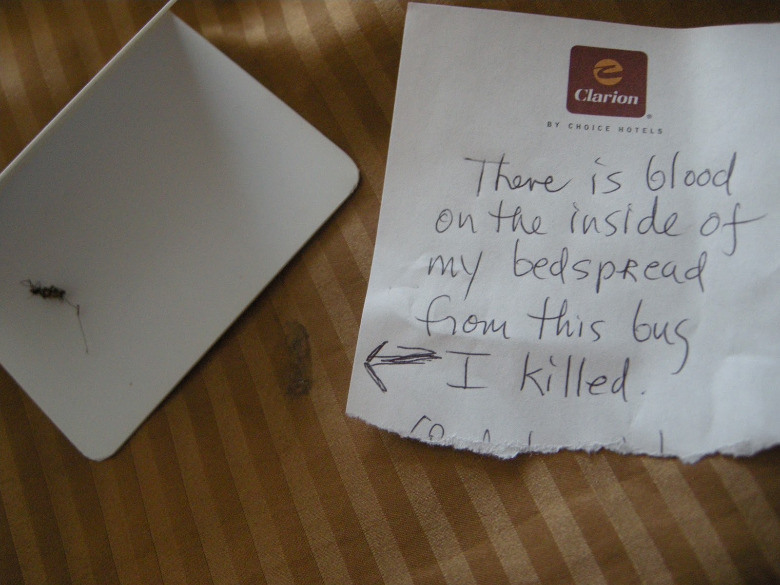 Kitchens Are Monkey Business: May 26, 2012. Note To The Housekeeper.