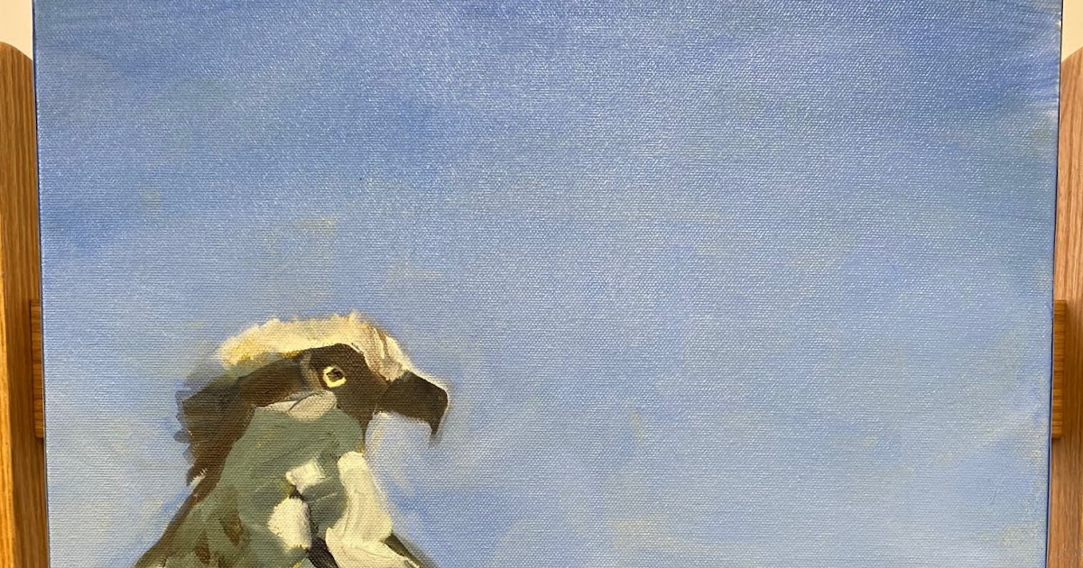 Kate Merriman artworks