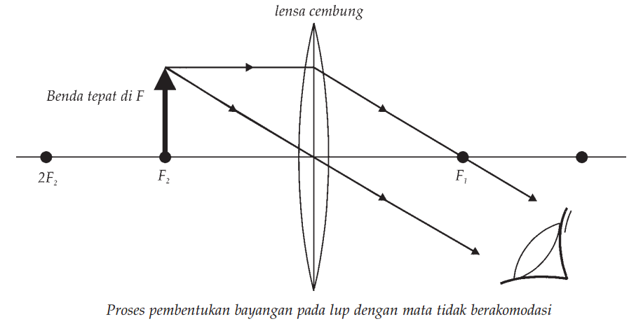 Analisis Alat-Alat Optik Lup atau Kaca Pembesar