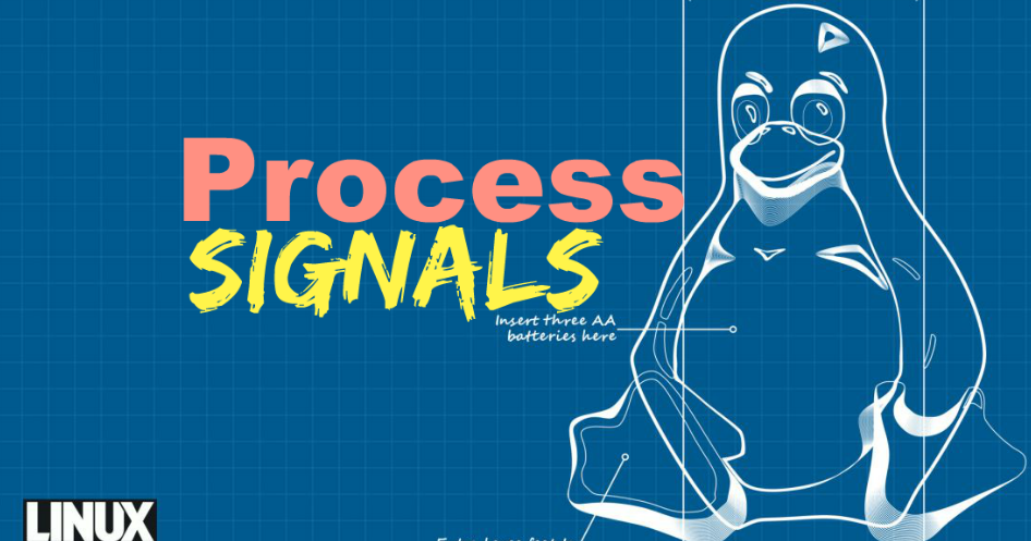 Process signals - Linux