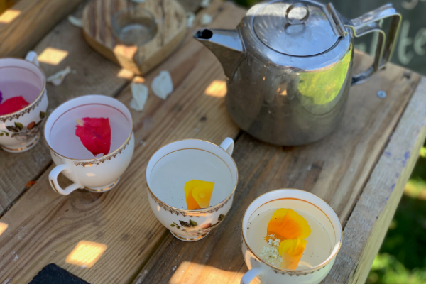 Arthurwears: Using The Curiosity Approach at home