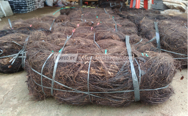 Ijuk Aren Untuk Material Resapan - JUAL BATU ALAM TERLENGKAP DIJAKARTA