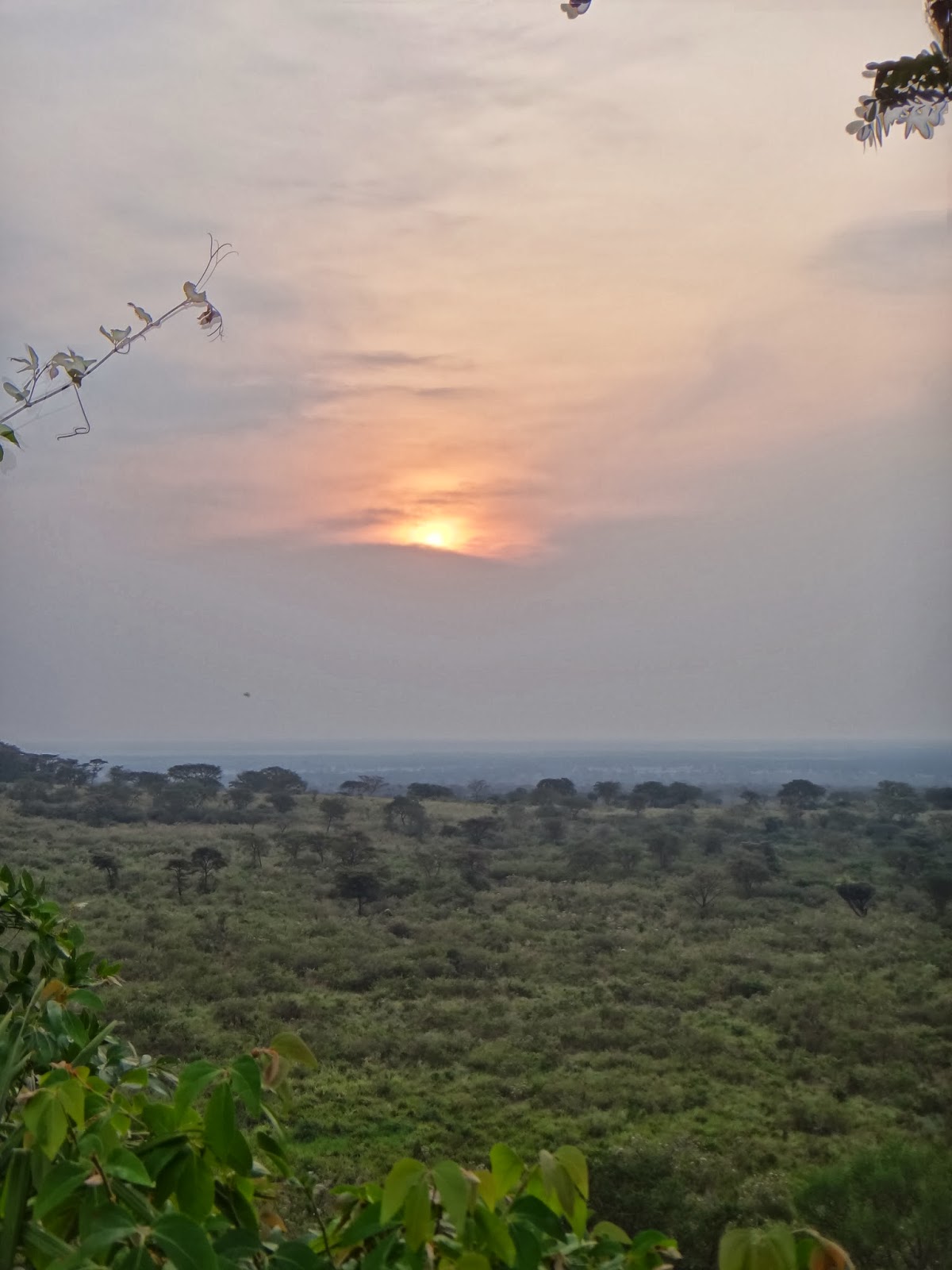 Live, Learn, Experience: Queen Elizabeth National Park