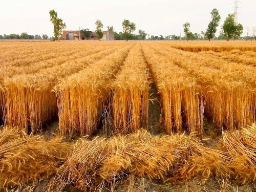 Punjab - Province of Pakistan