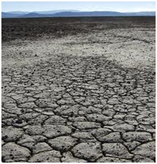 PORTAL GEOGRAFI : Tanah Grumusol : Pengertian, Karakteristik, Jenis dan ...