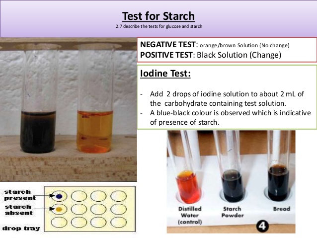 ISOLATION OF STARCH FROM POTATO EXPLAINED EXPERIMENT WITH SCIENTIFIC ...