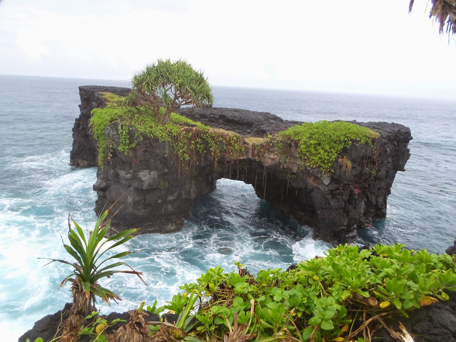 Serving In Savai'i Samoa: Hello from Samoa