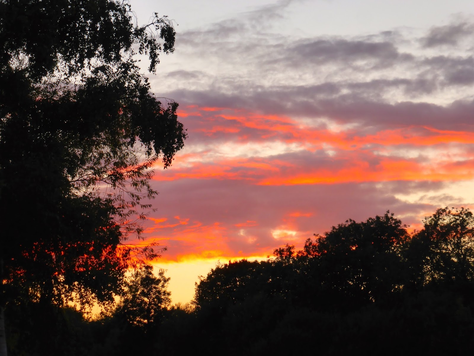 Wide Beam - Still Rockin': A beautiful ‘Autumn’ (?) morning