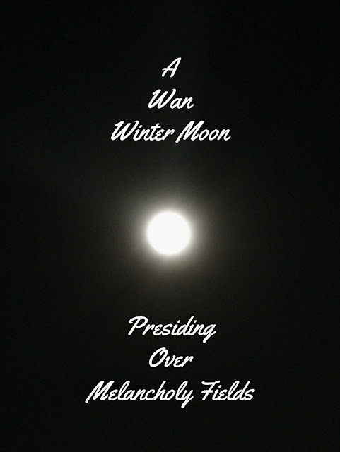 Poems: Winter Moon