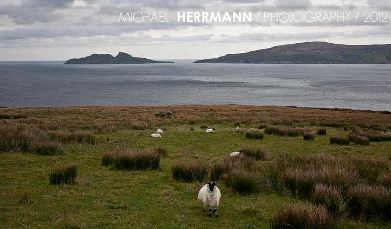 Landscape Photography in Kerry, Ireland: Bolus Head Loop Walk ...