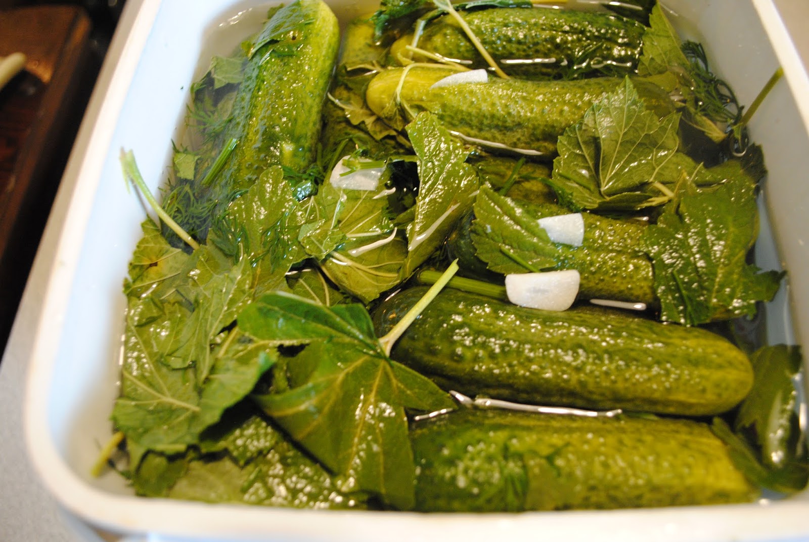 Aed ja Toit: Retsept: Värske hapukurk ehk soolakurk