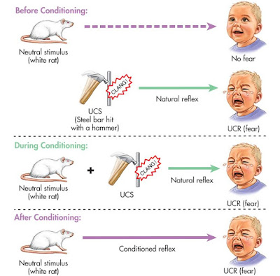 Classical Conditioning and Acquisition of Phobias