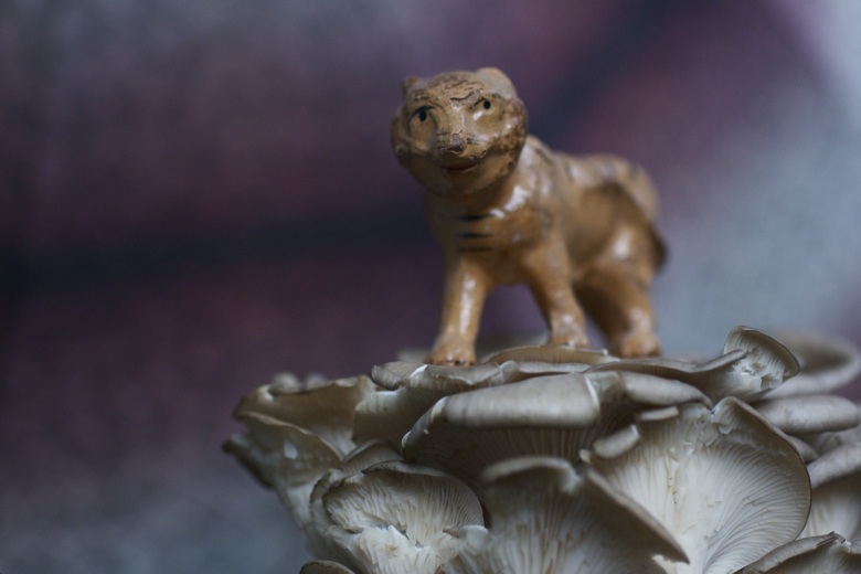 The Wardens Today: COMPOSITE TIGER