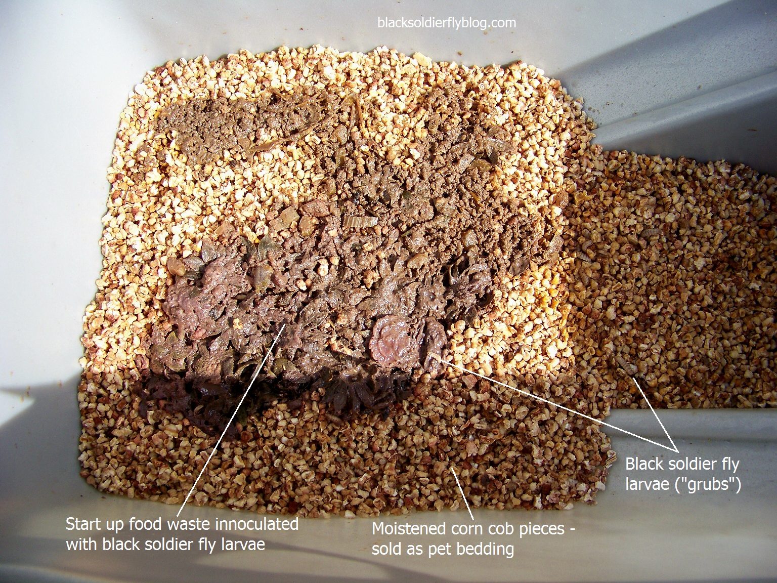 Black Soldier Fly Composter