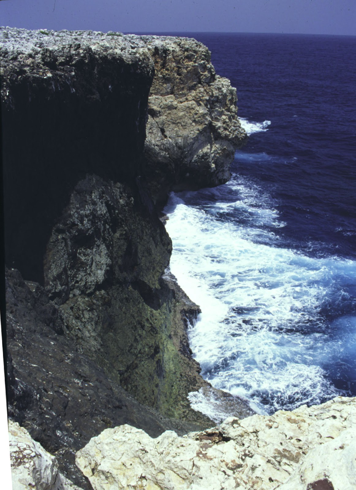 Earth and Space News: Navassa Island National Wildlife Refuge ...