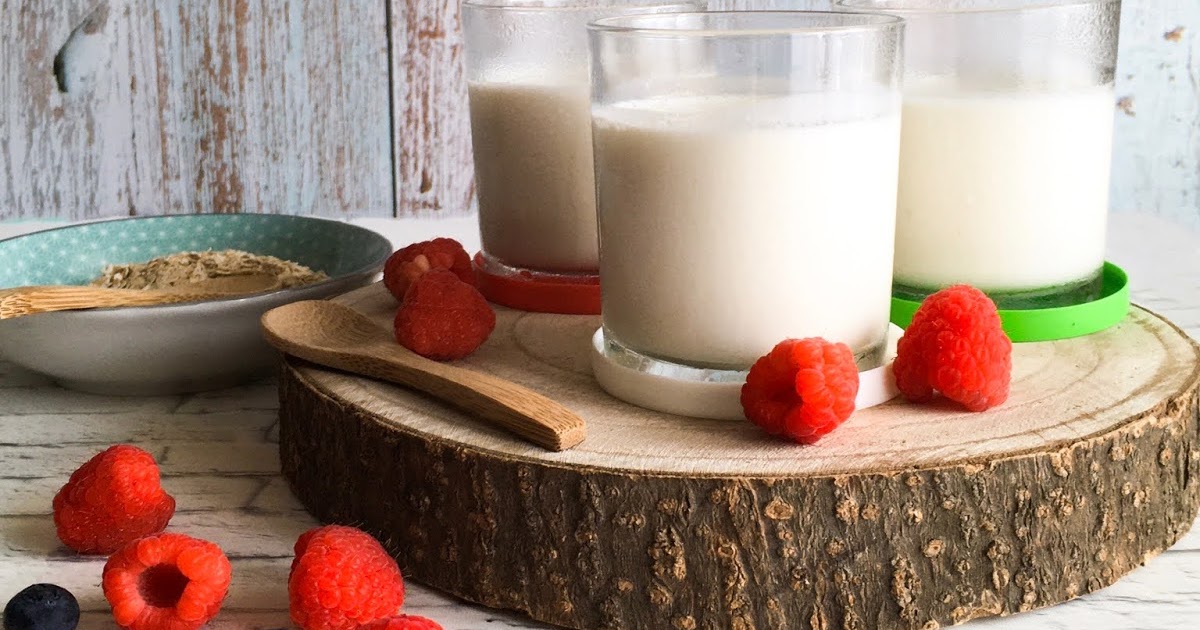 Sugar Bites: Iogurte Grego Caseiro