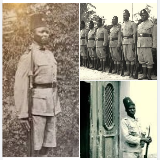 O Guardião: CIPAIOS